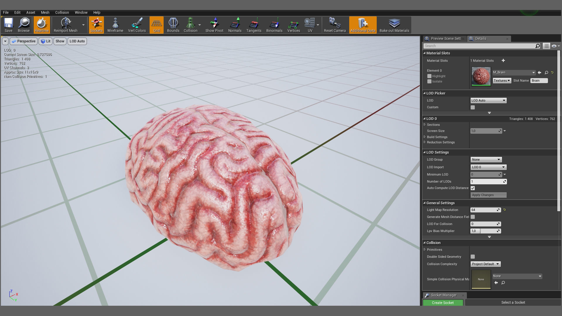 3D model Human Organs and Bones VR / AR / low-poly | CGTrader