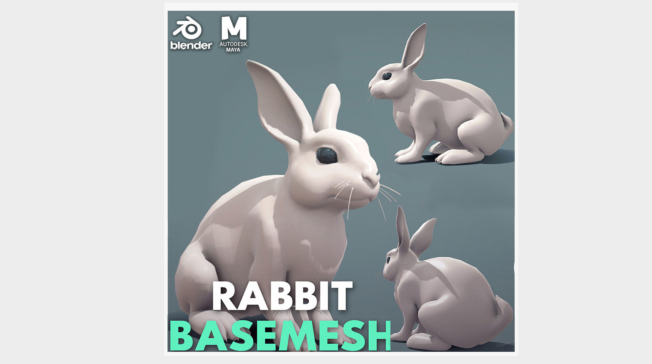 3D model Rabbit VR / AR / low-poly | CGTrader
