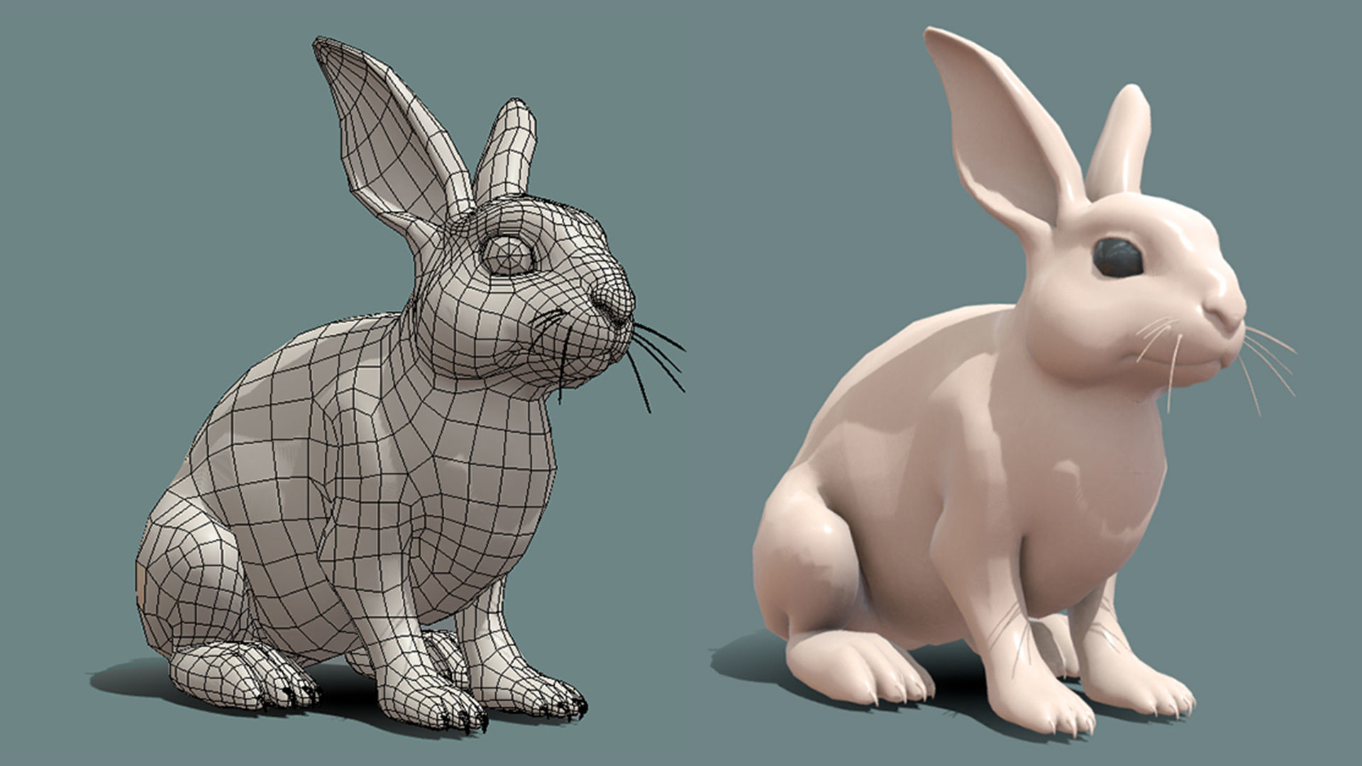 3D model Rabbit VR / AR / low-poly | CGTrader