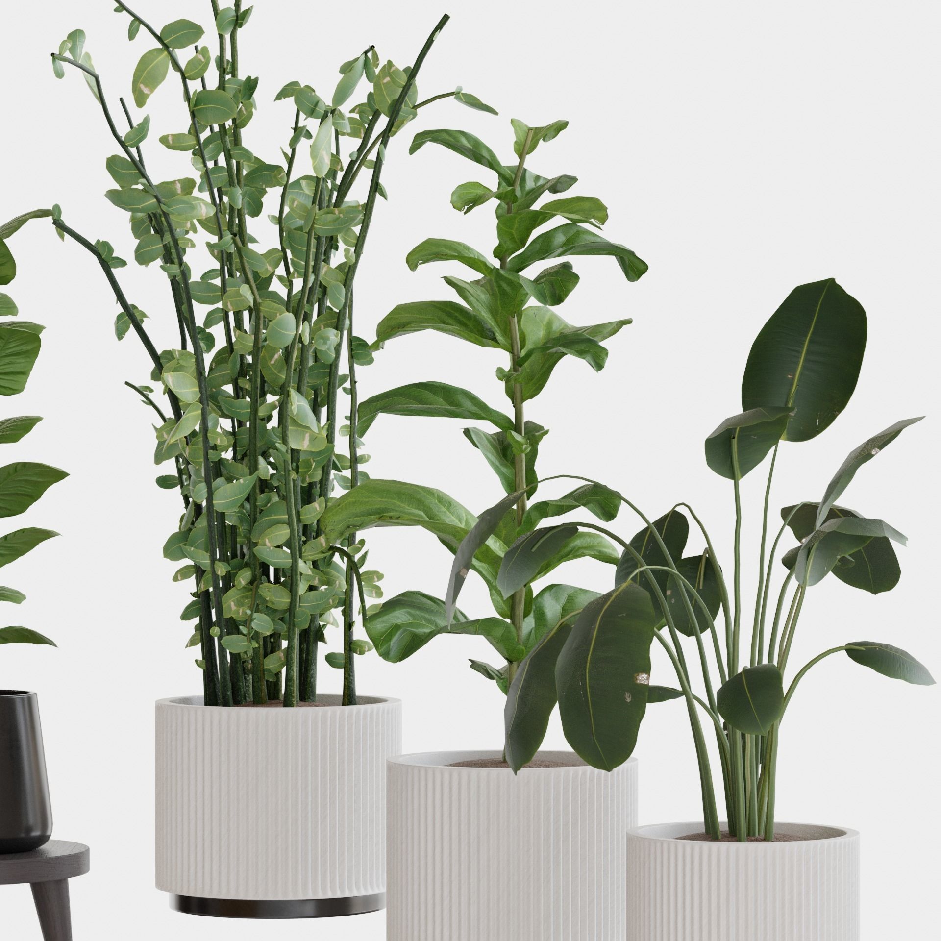 Pots with Plants 3D model | CGTrader