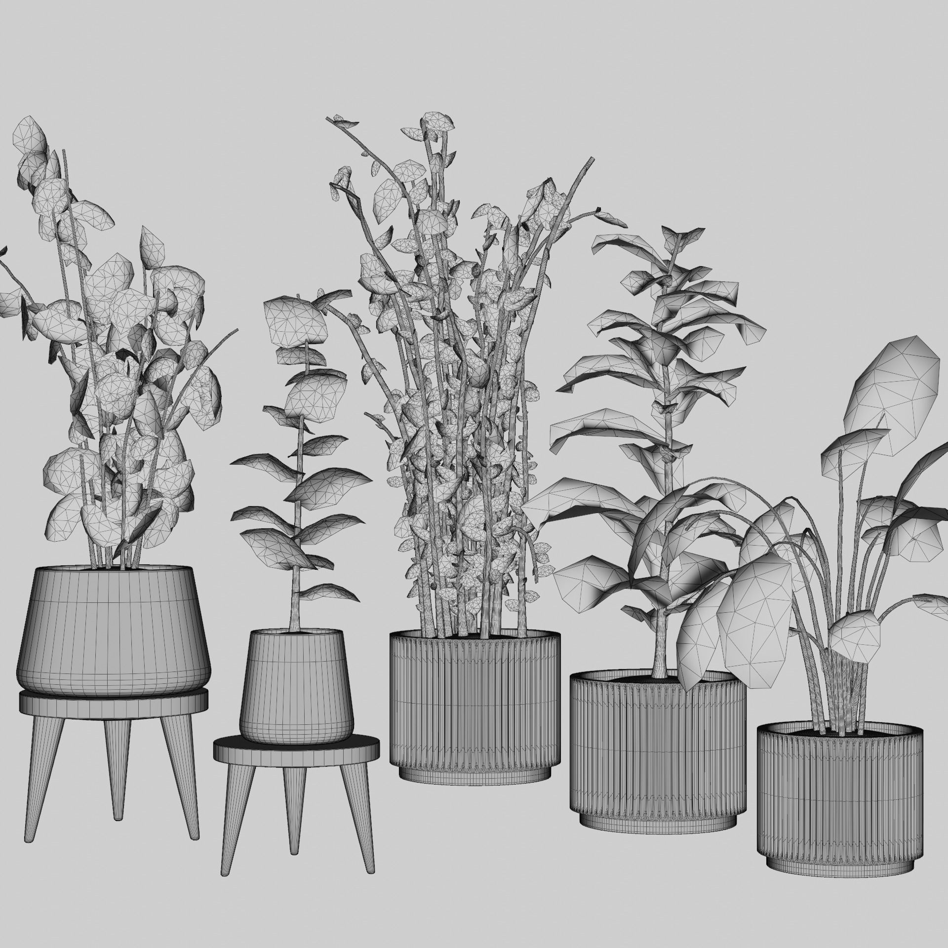 Pots with Plants 3D model | CGTrader