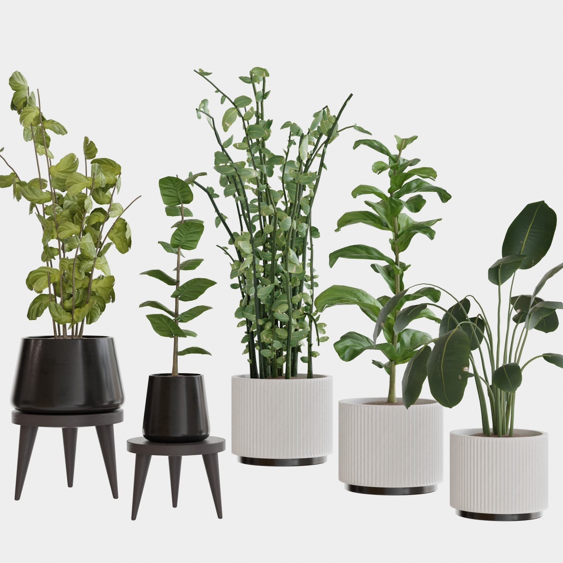 Pots with Plants 3D model | CGTrader