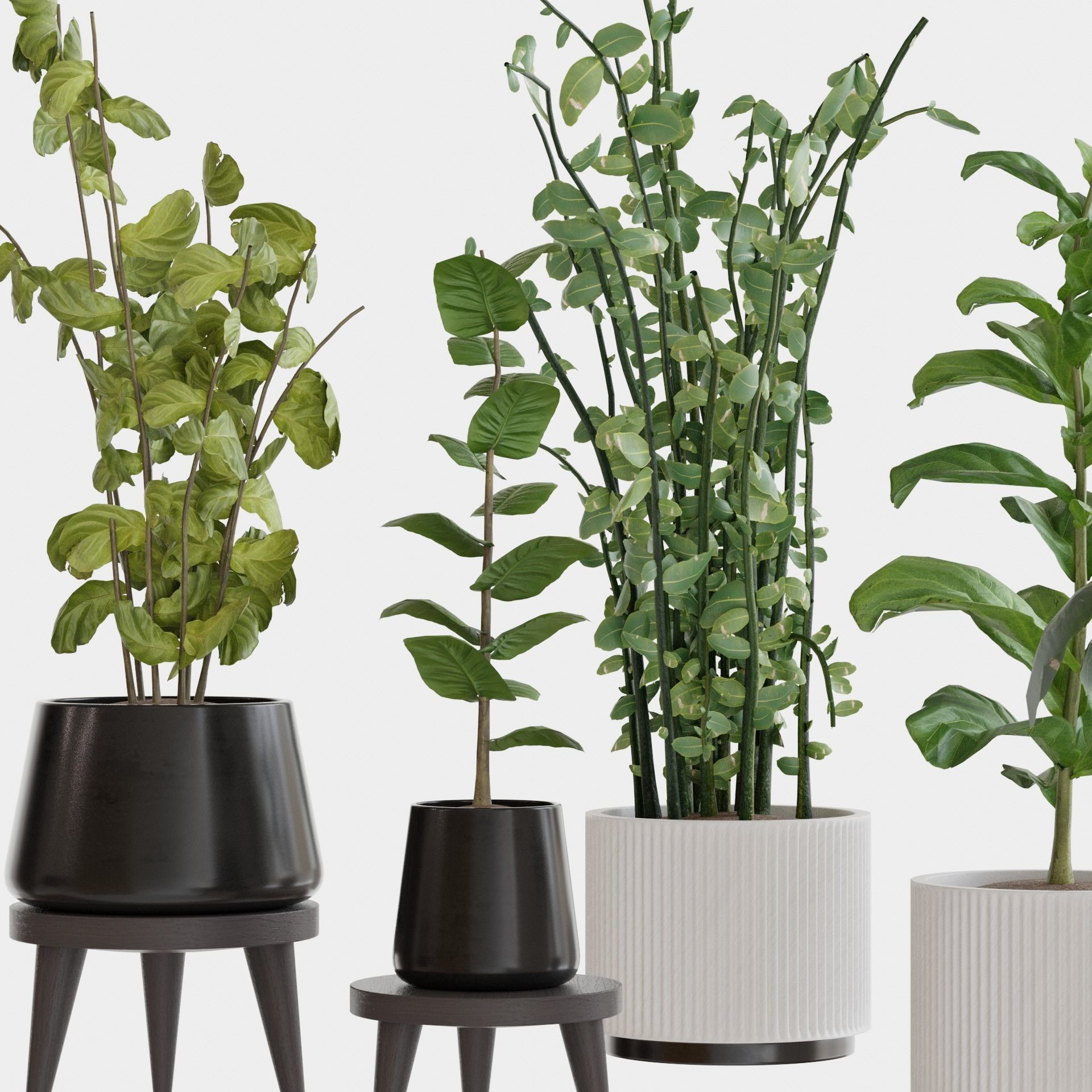 Pots with Plants 3D model | CGTrader