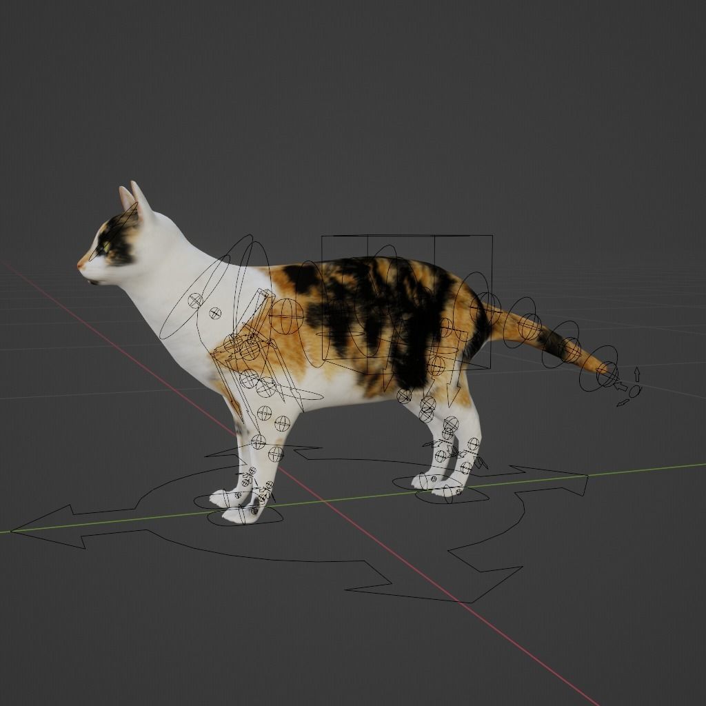 Calico Cat 3D model animated rigged | CGTrader