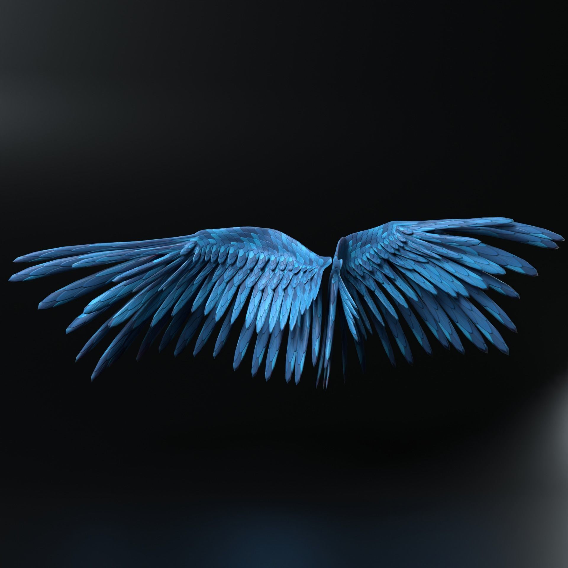 Feather Wings 3D model animated rigged | CGTrader