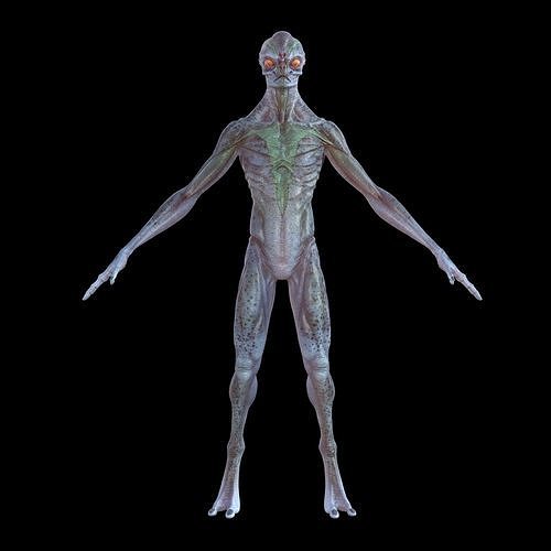 Alien 3D model rigged | CGTrader