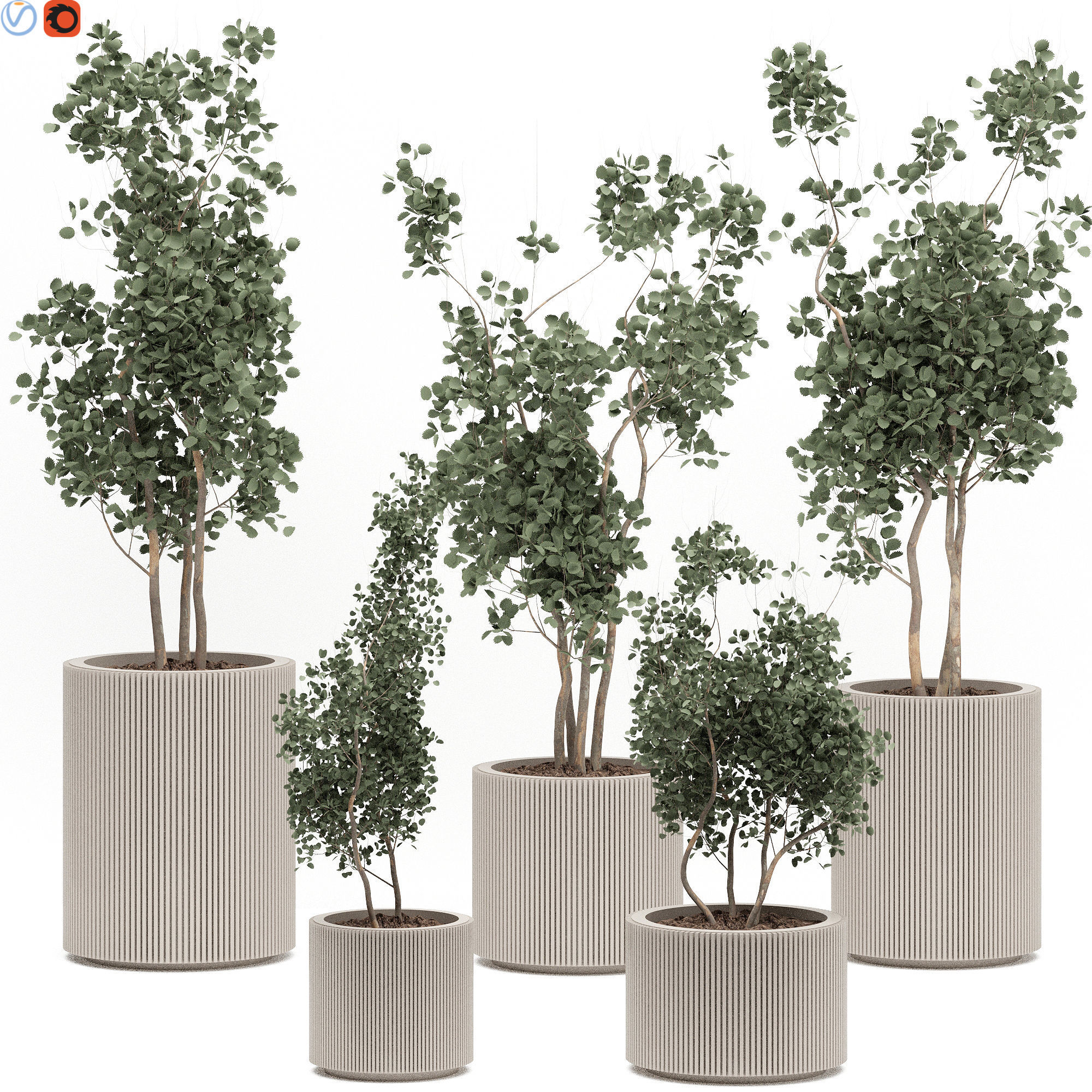 indoor plants 18 3D model | CGTrader