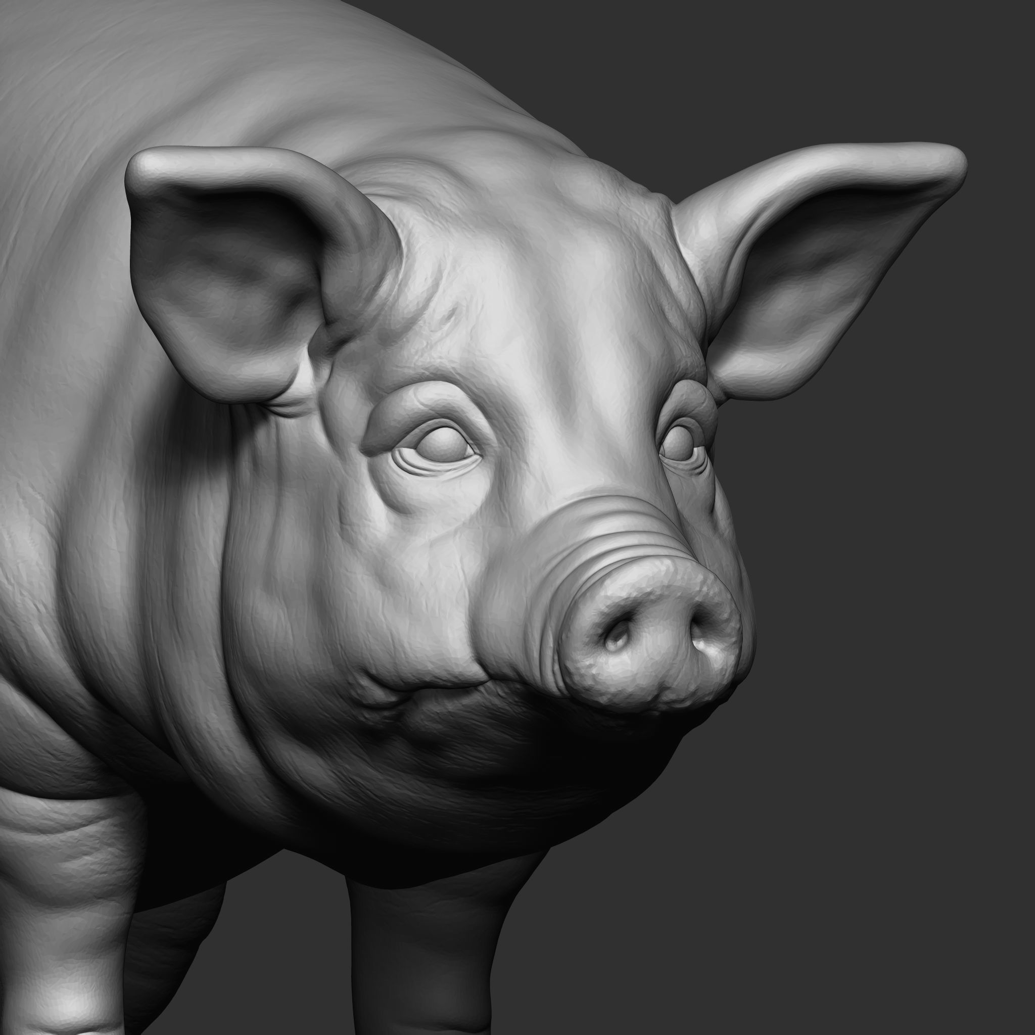 PIG 3d print model free 3D model 3D printable | CGTrader