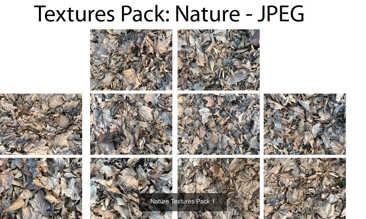 Nature Textures Pack 1-10 3D Model Collection | CGTrader