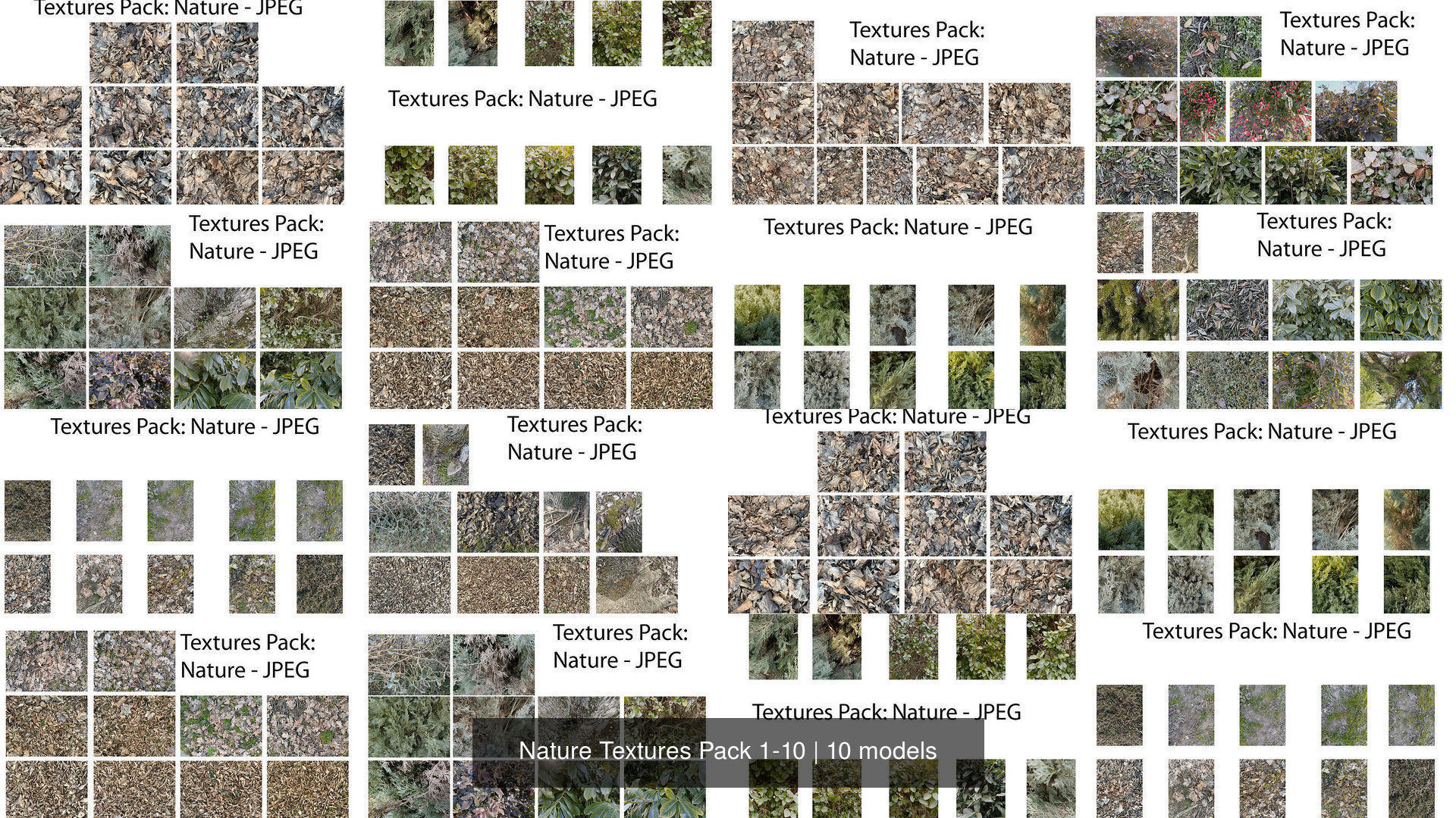 Nature Textures Pack 1-10 3D Model Collection | CGTrader