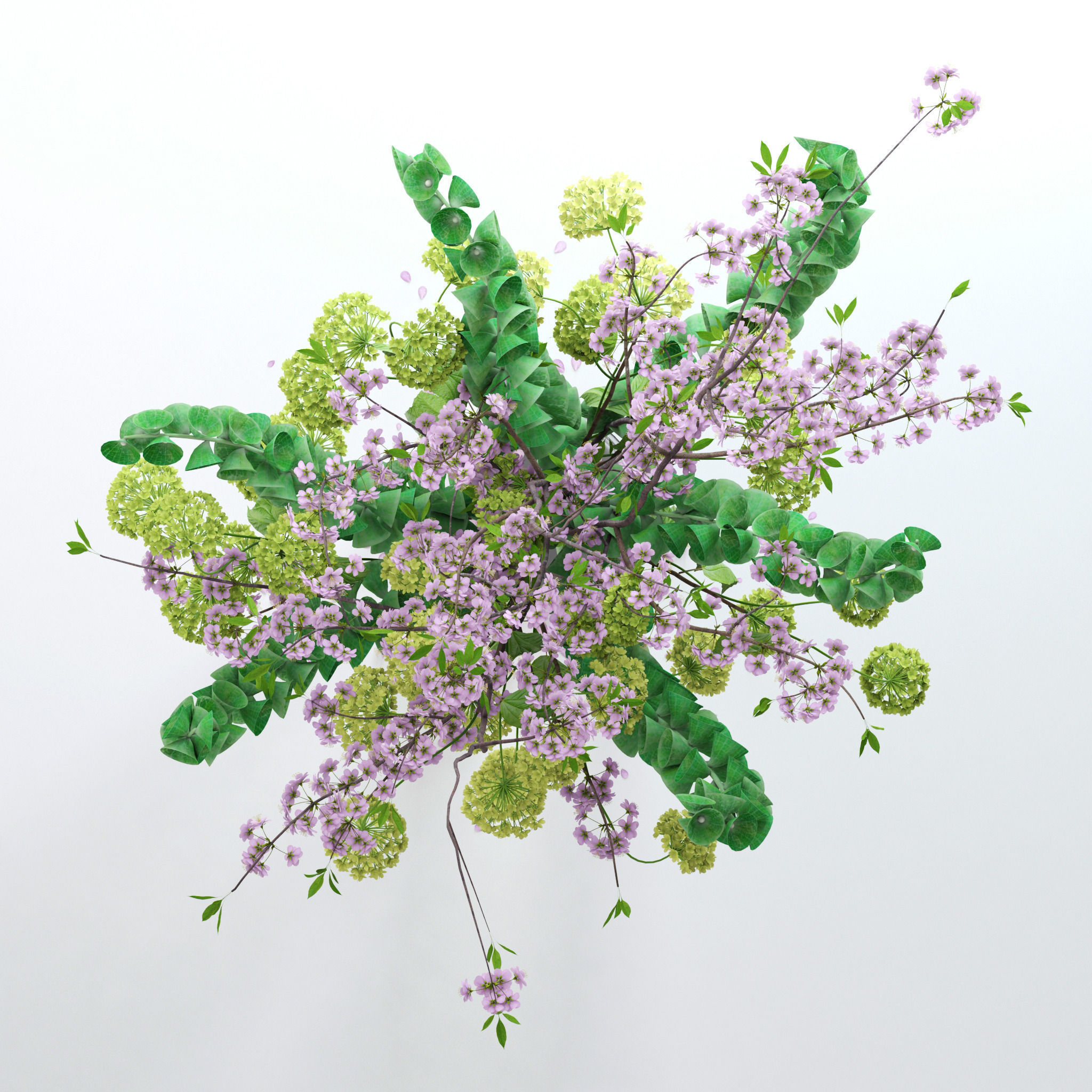 Viburnum plus Moluccella and Cherry blossom 3D model | CGTrader