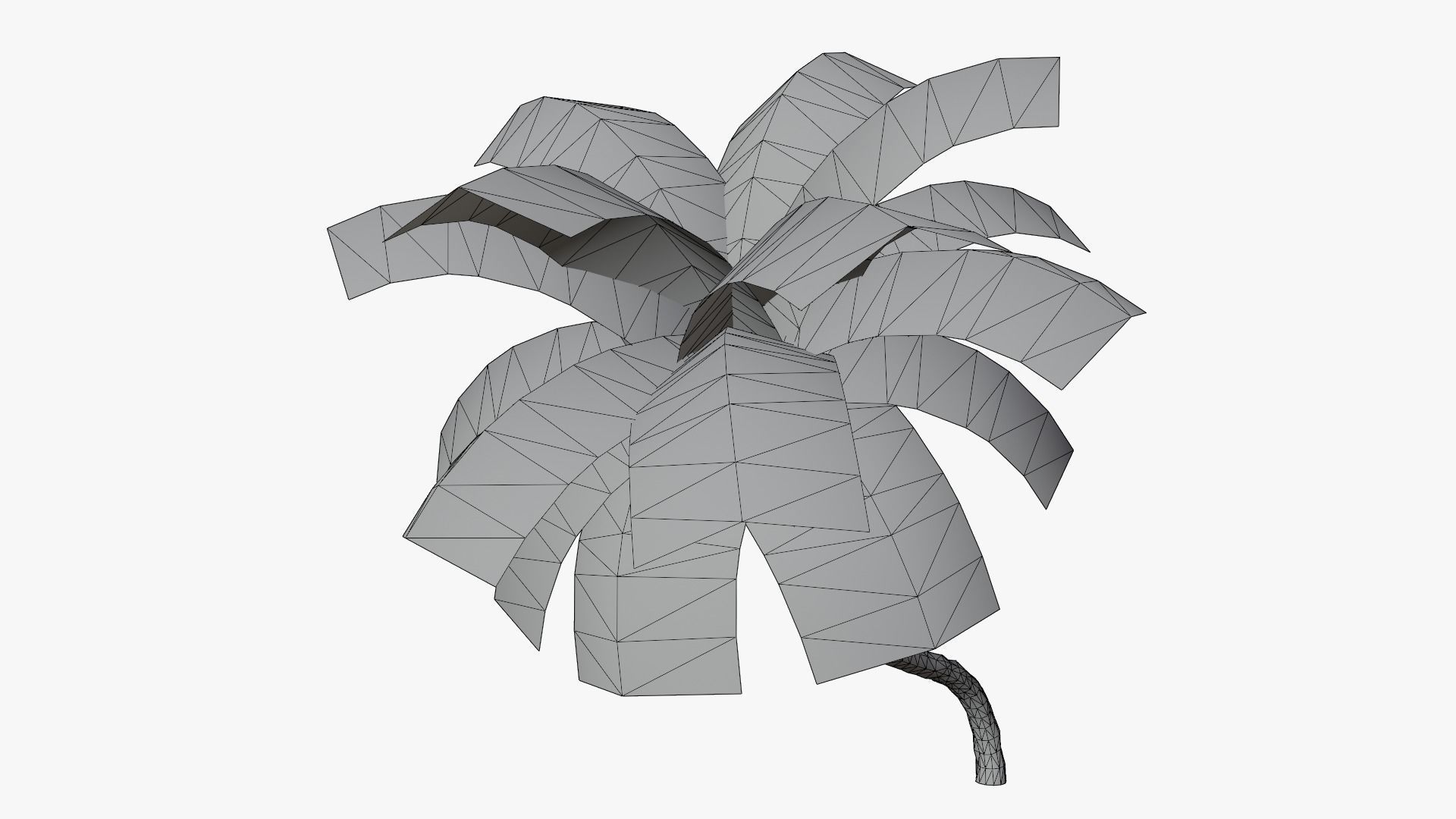 3D model Stylized Palm v3 VR / AR / low-poly | CGTrader