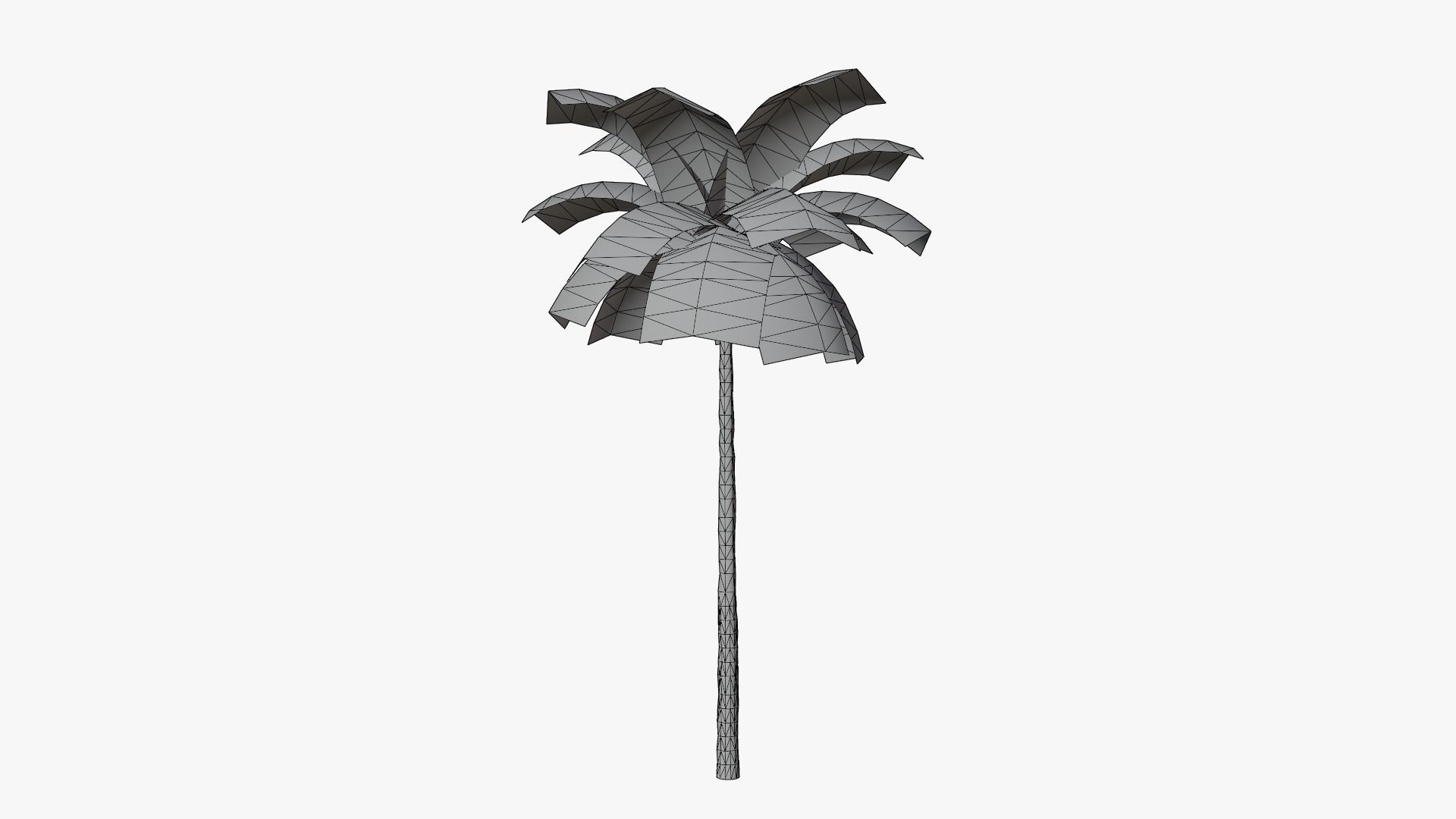 3D Model Collection Stylized Palms Set VR / AR / low-poly | CGTrader