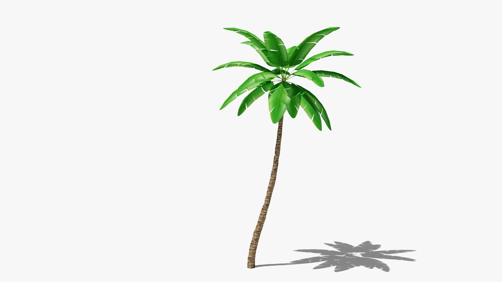 3D Model Collection Stylized Palms Set VR / AR / low-poly | CGTrader