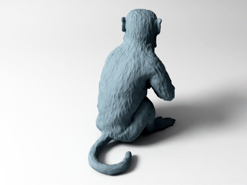Long Tailed Monkey 3D model 3D printable | CGTrader