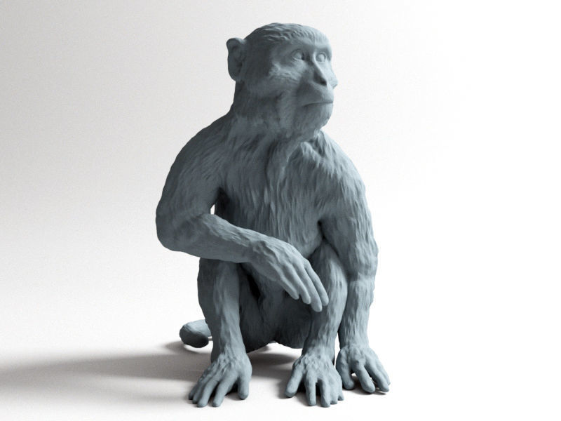 Long Tailed Monkey 3D model 3D printable | CGTrader
