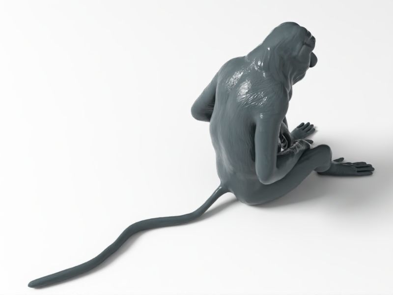Proboscis monkey 3D model 3D printable | CGTrader