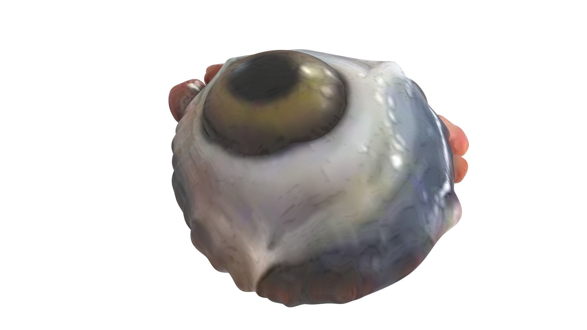 Chicken Eye 3D model | CGTrader