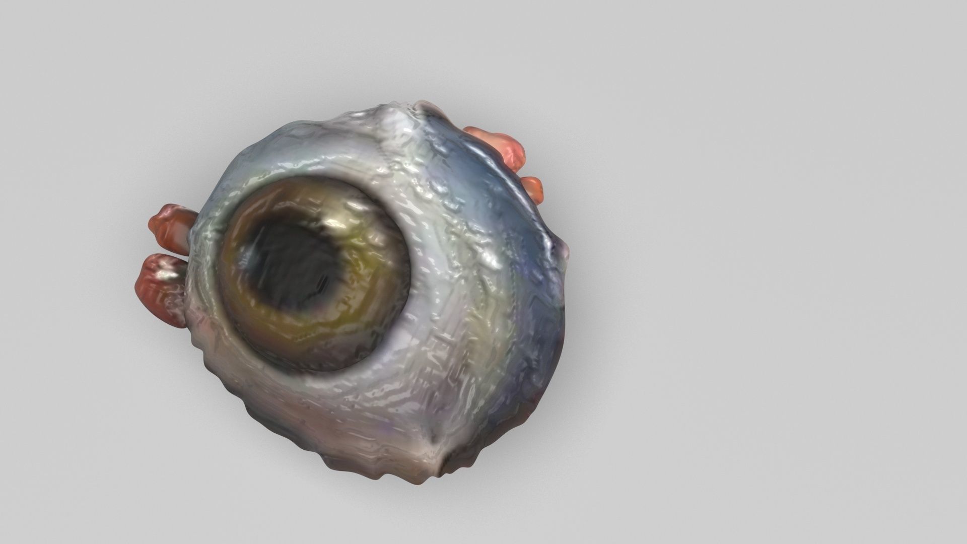 Chicken Eye 3D model | CGTrader