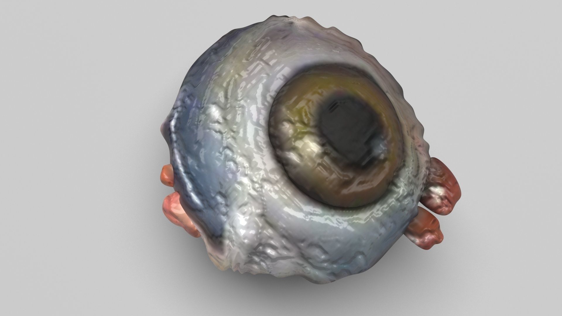Chicken Eye 3D model | CGTrader