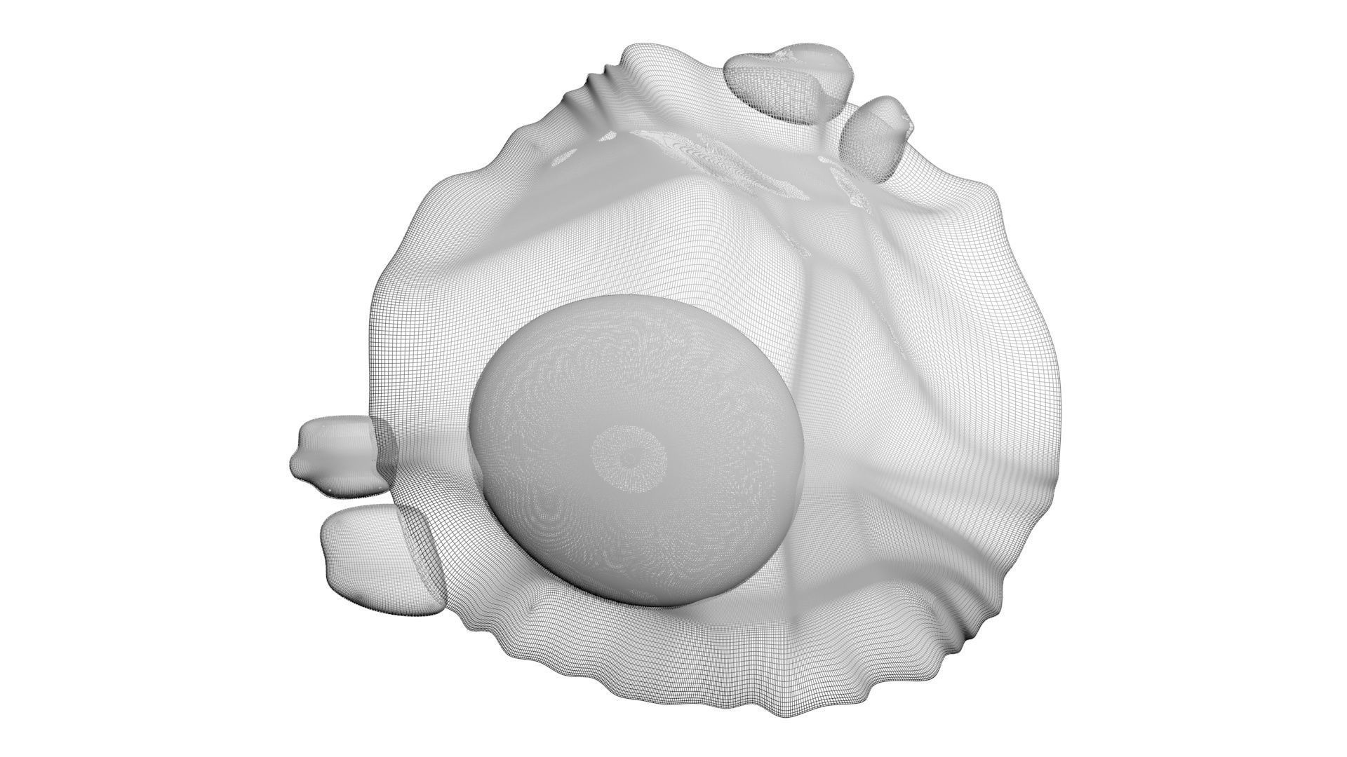 Chicken Eye 3D model | CGTrader