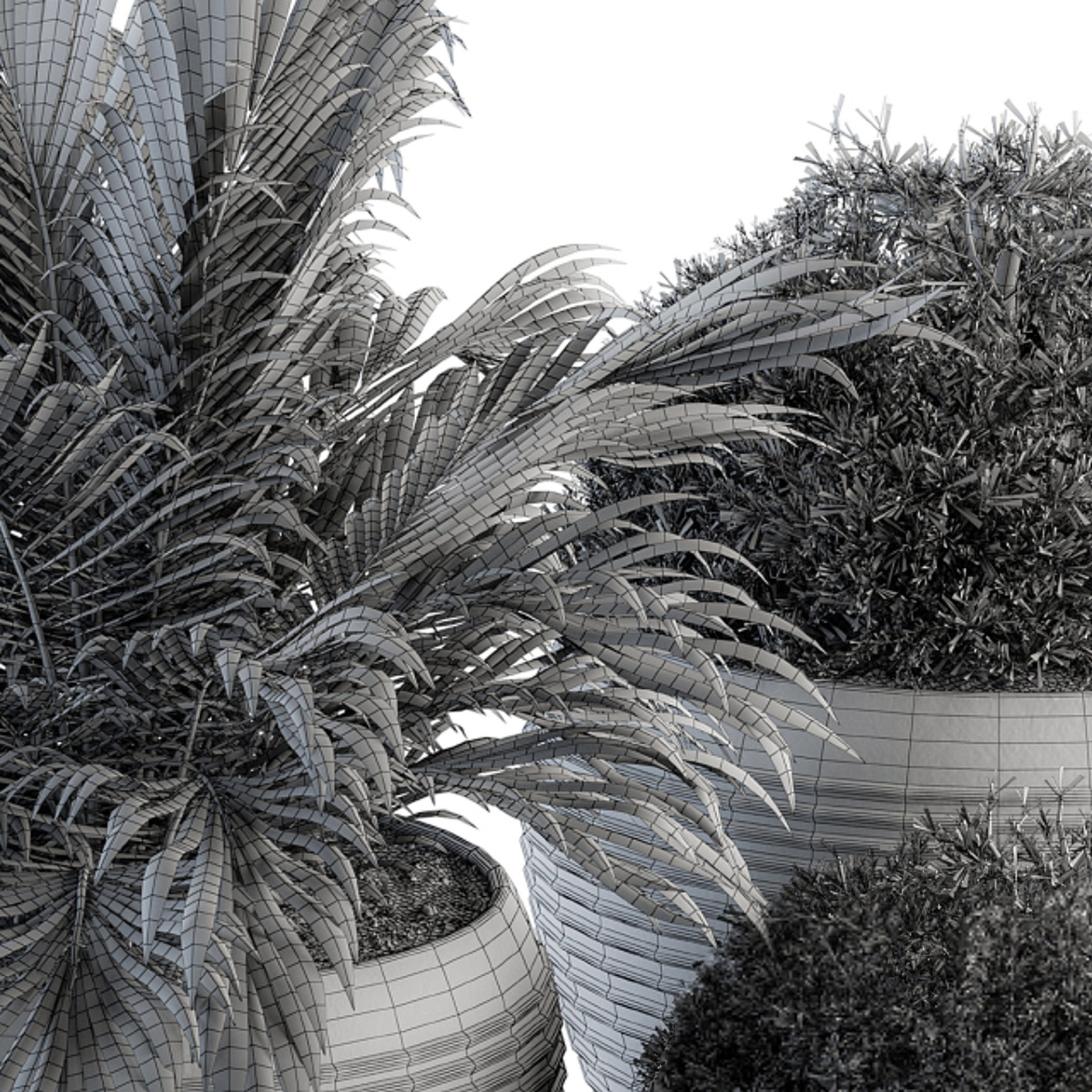 Outdoor Plants tree 3D model | CGTrader