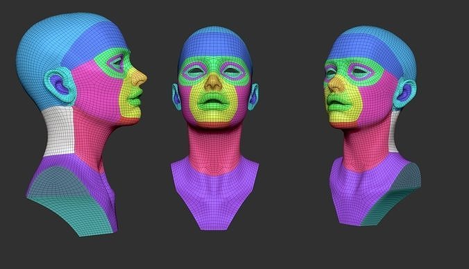 Female Head Base Mesh free VR / AR / low-poly 3D model | CGTrader