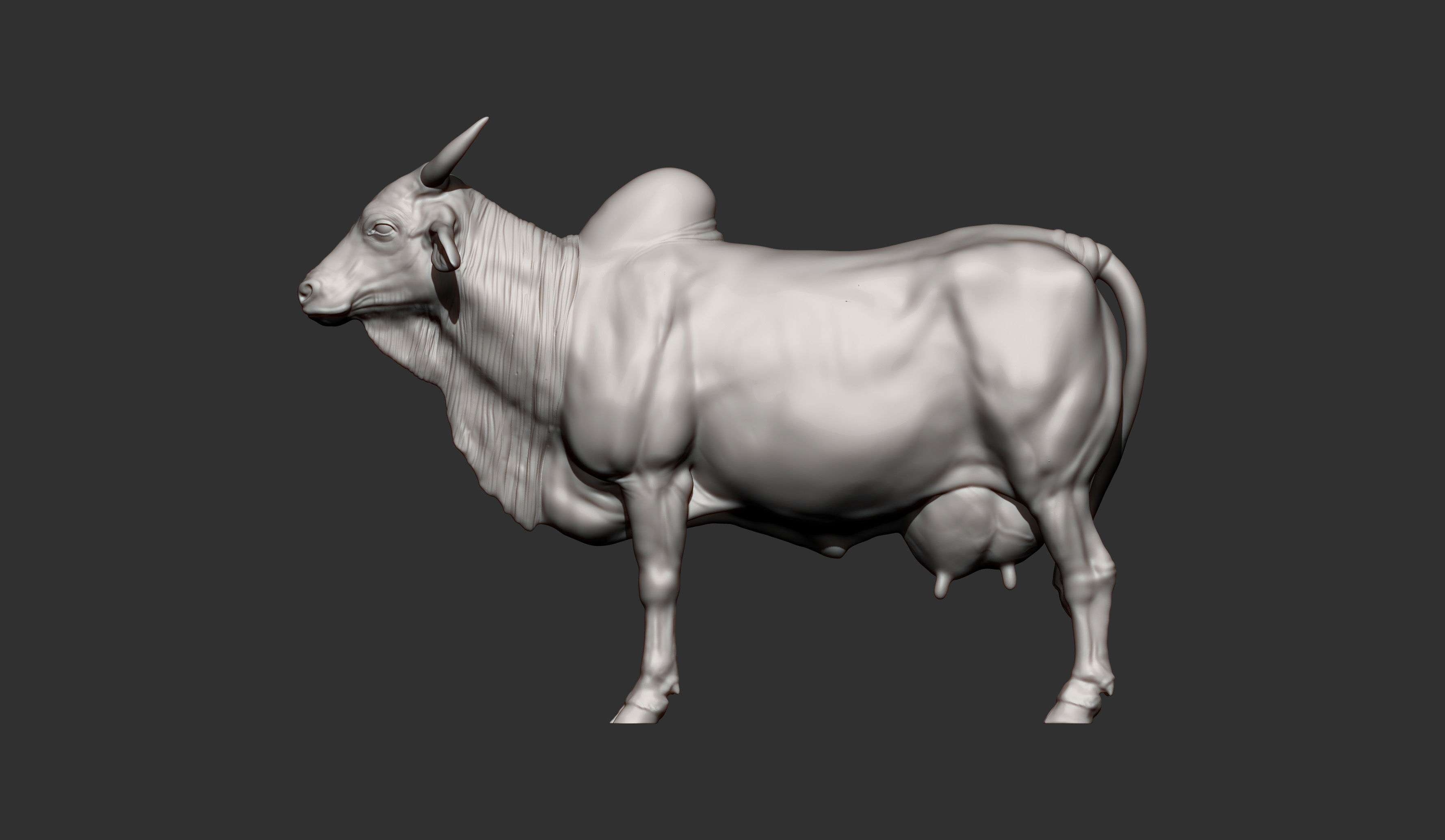 Indian cow 3D model 3D printable | CGTrader