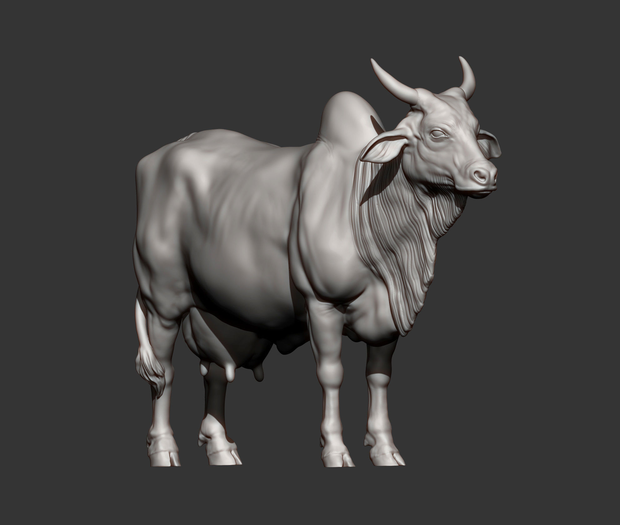 Indian cow 3D model 3D printable | CGTrader