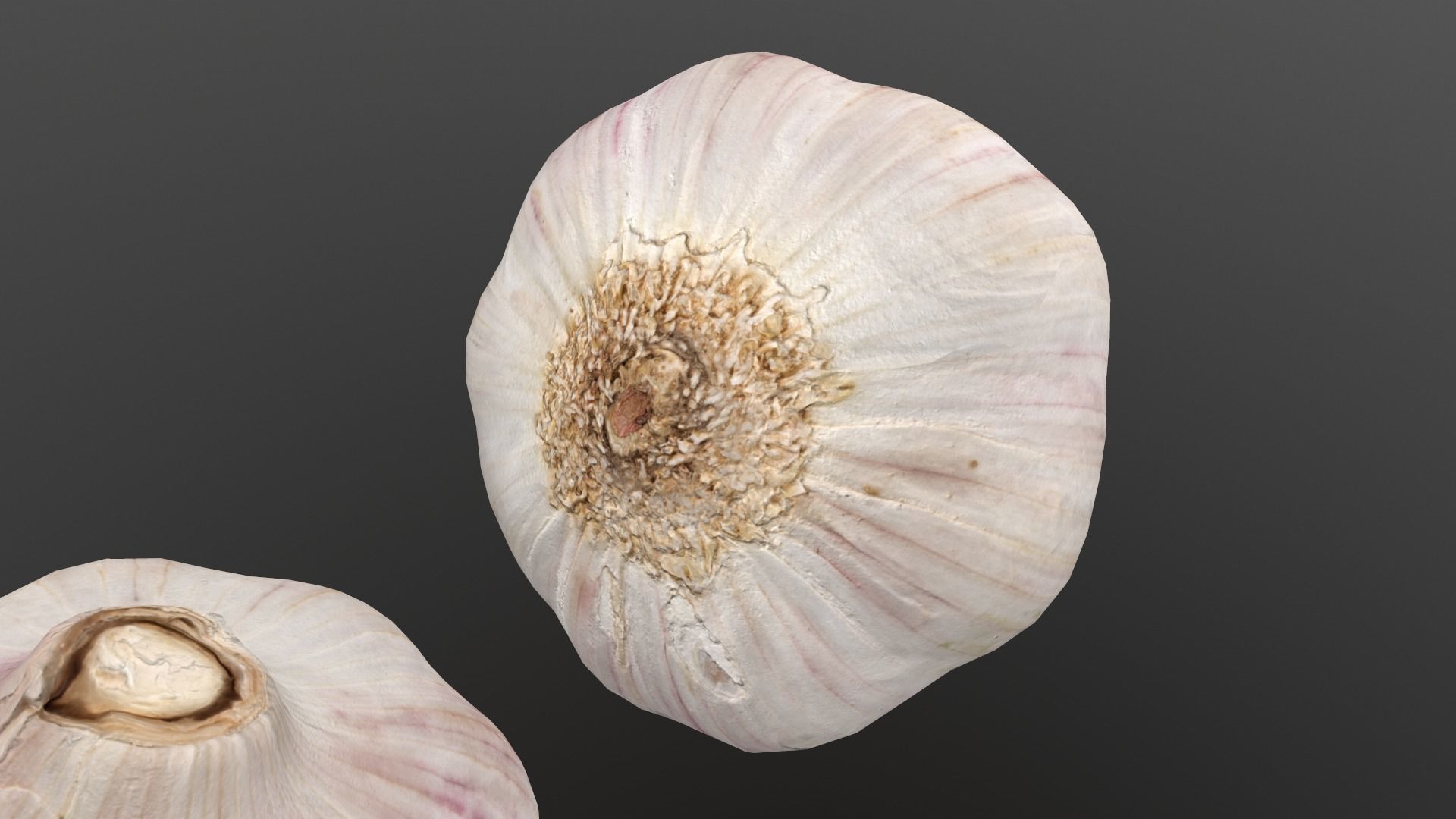 3D model Photorealistic Garlic 3D Scan AR VR PBR VR / AR / low-poly ...