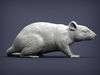 Rat 3D print model 3D model 3D printable | CGTrader