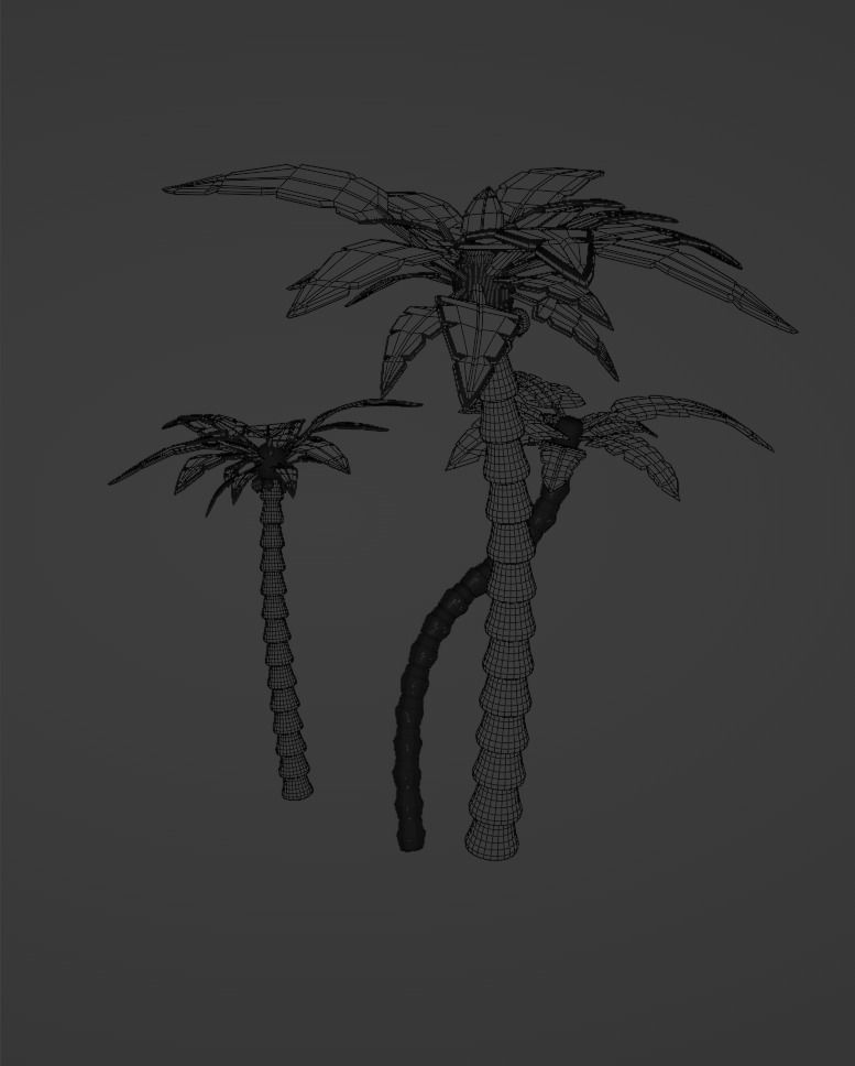 Palm tree free 3D model | CGTrader