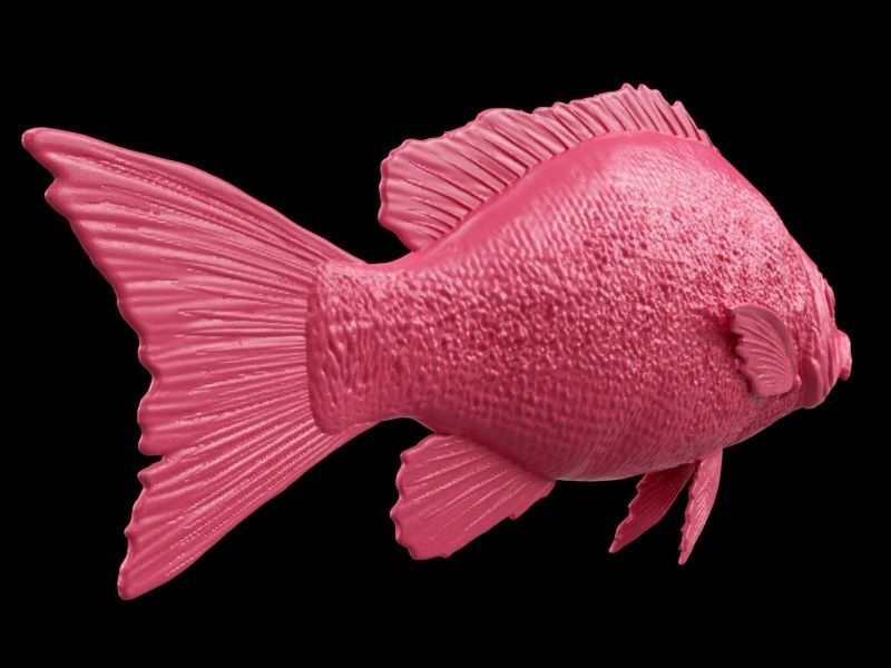 Red Snapper fish 3D model 3D printable | CGTrader