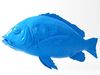 Snapper fish 3D model 3D printable | CGTrader