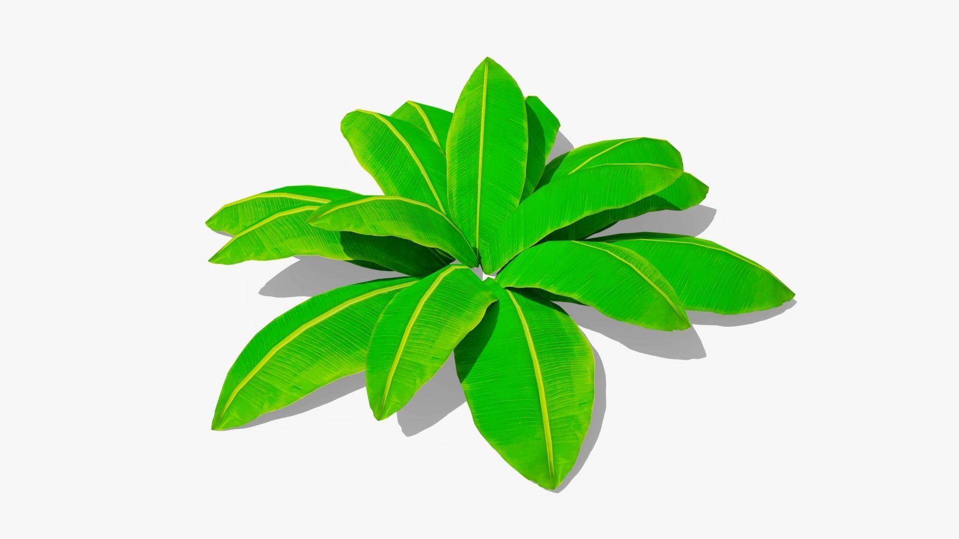 3D model Stylized Cartoon Fern v1 VR / AR / low-poly | CGTrader