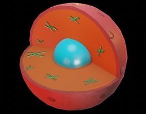 Nucleus 3D Models | CGTrader