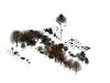 Lanscape Planting 3D model | CGTrader