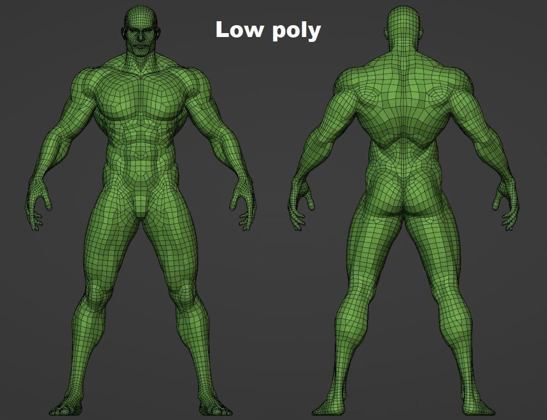 3D model Muscular Male Heroic Anatomy Basemeshes Low mesh rigged VR ...