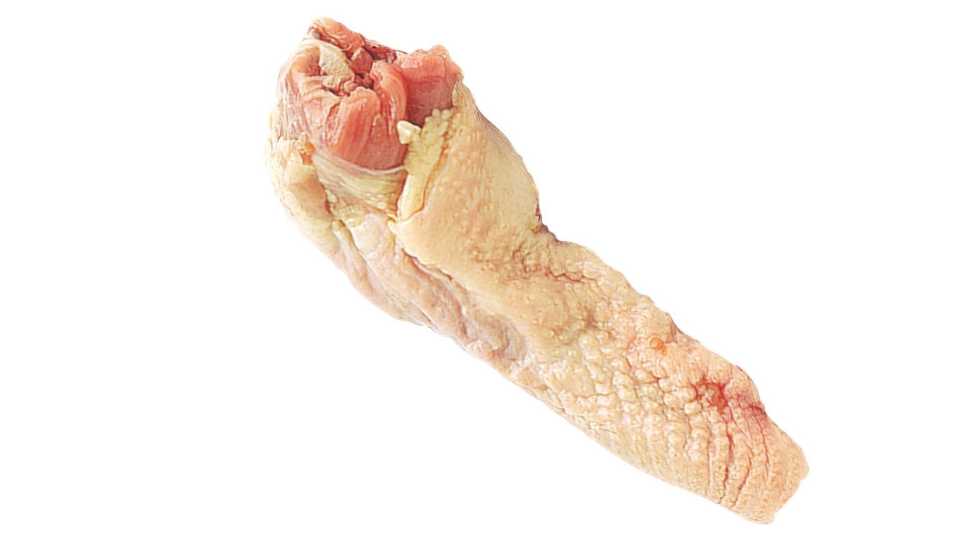 Chicken Neck 3D model | CGTrader