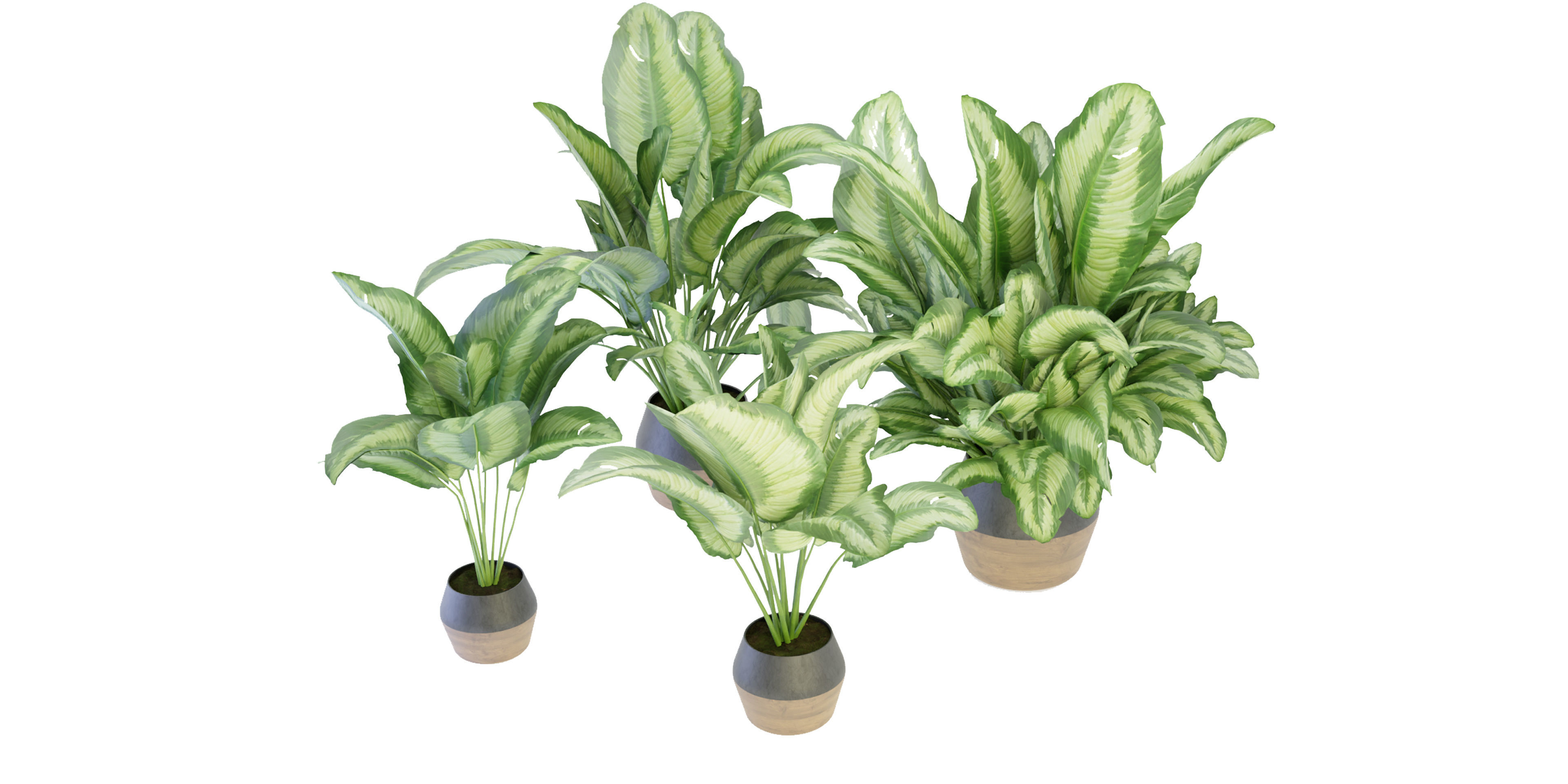 Collection plant vol 298 - blender model 3D model | CGTrader