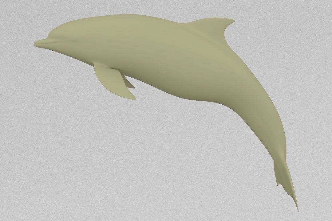 Dolphin 3D model 3D printable | CGTrader