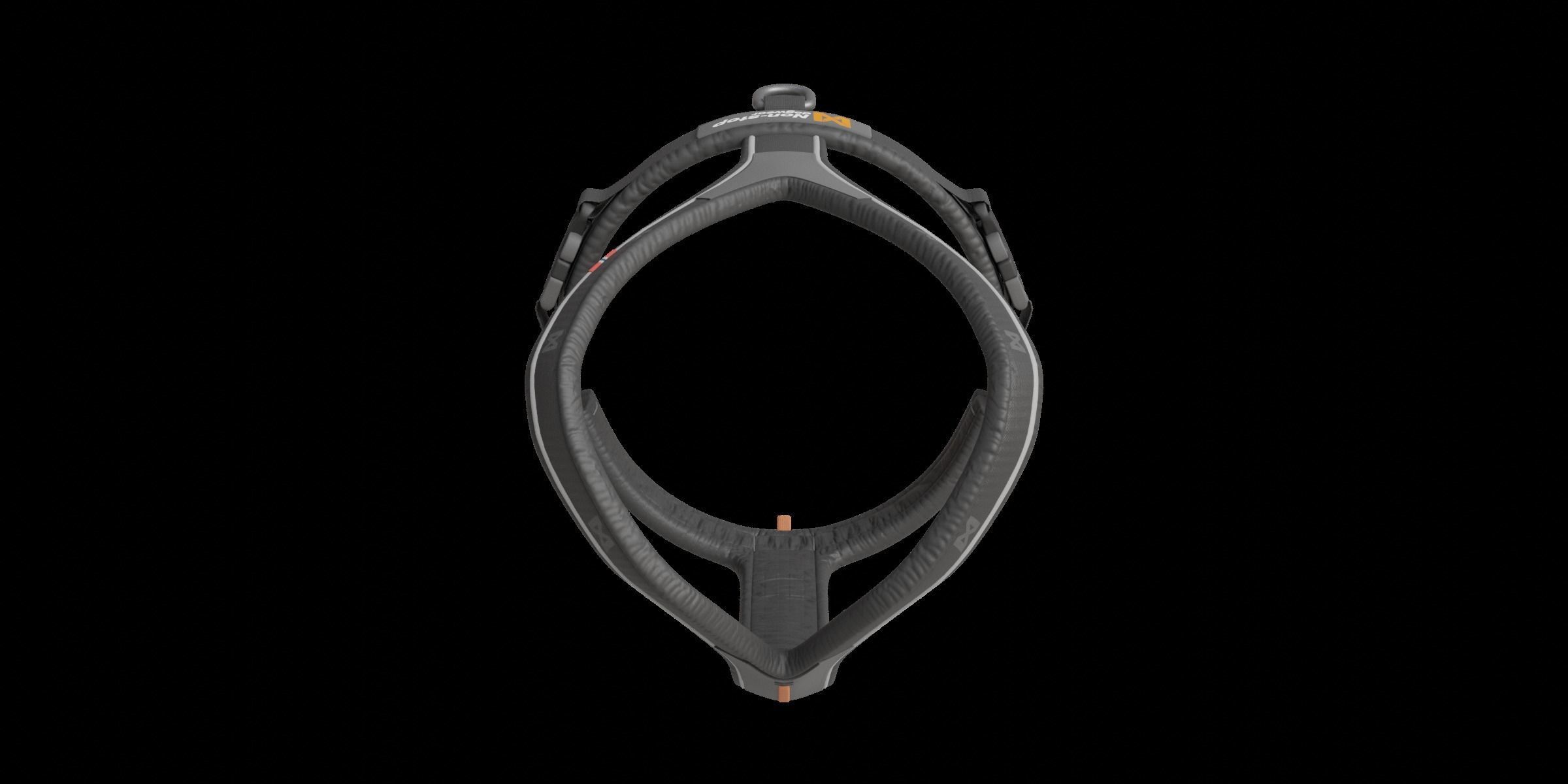 Short Dog Harness 3D model | CGTrader