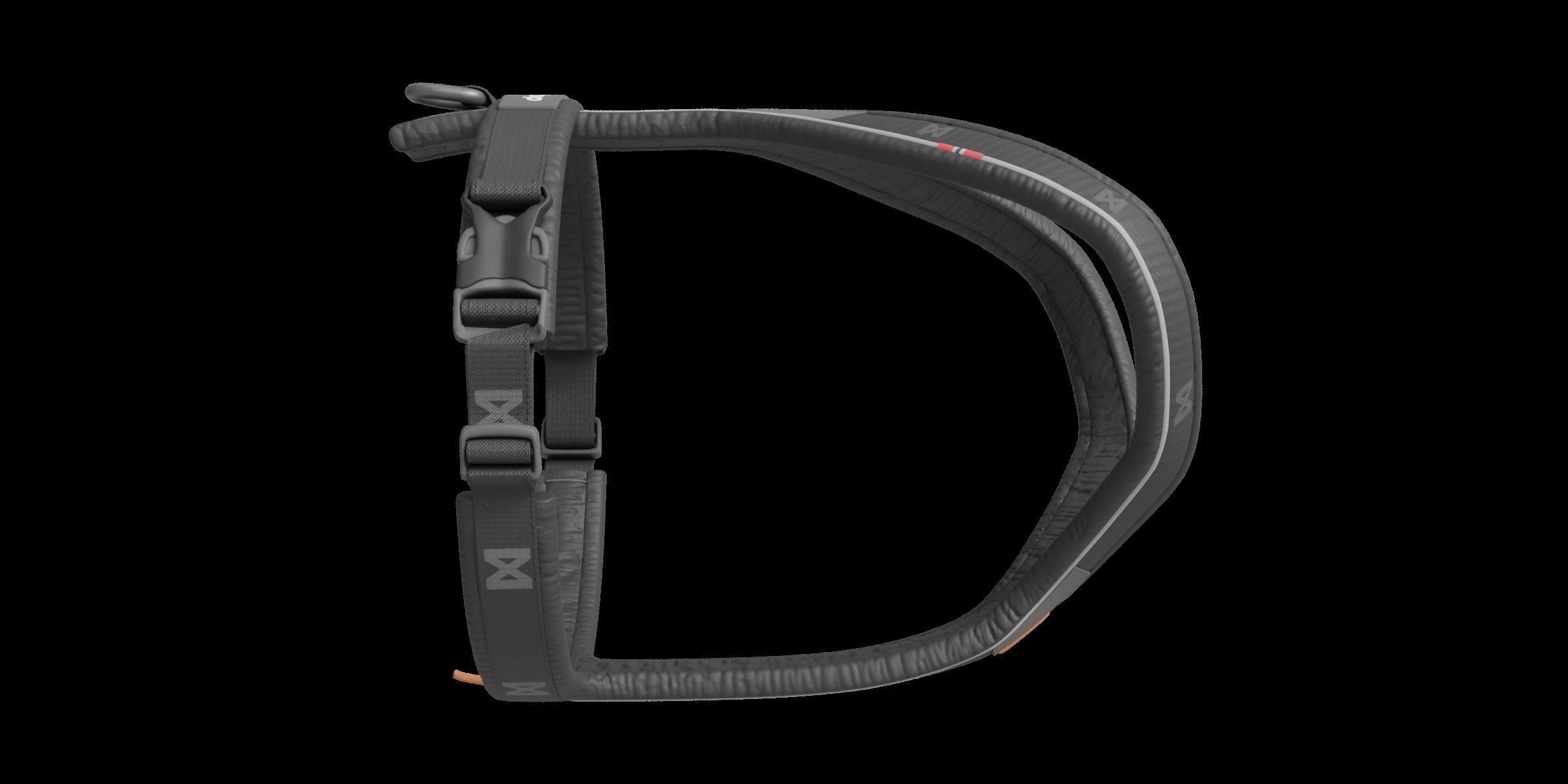 Short Dog Harness 3D model | CGTrader