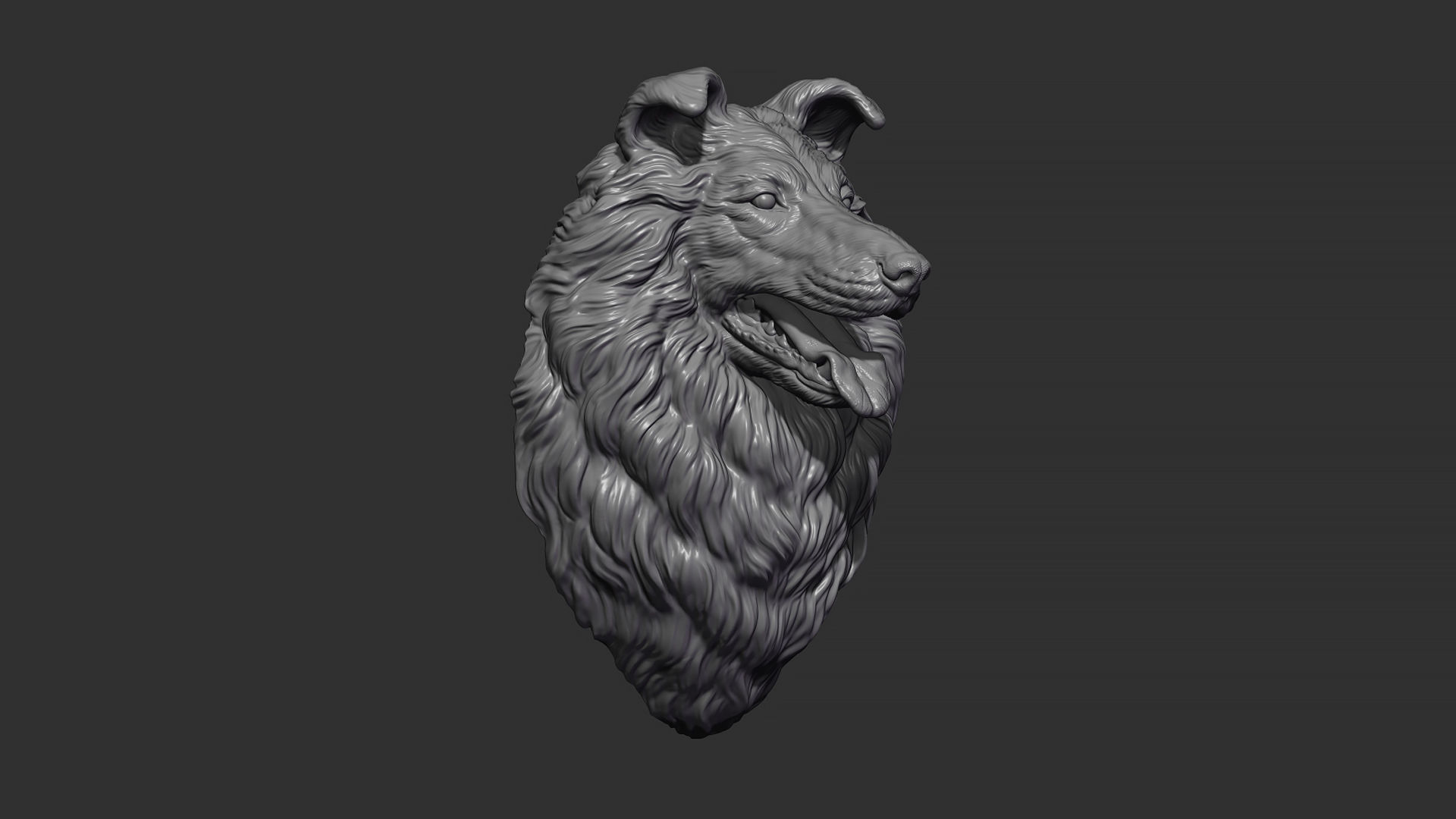 Collie Dog head 3D model 3D printable | CGTrader