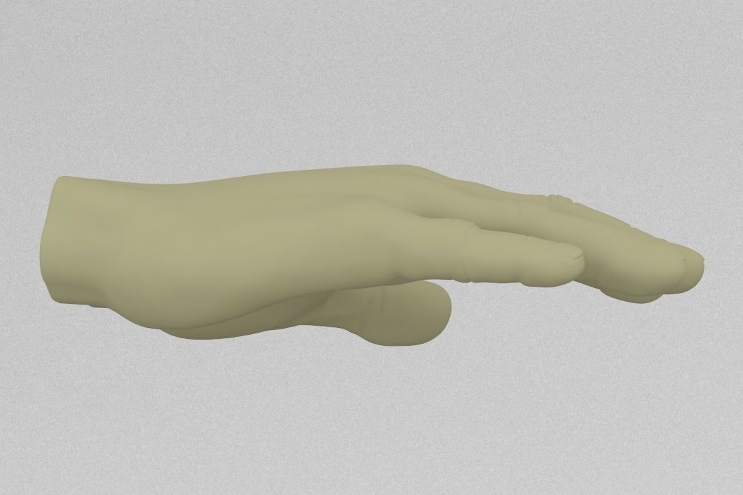 The palm of the hand 3D model 3D printable | CGTrader