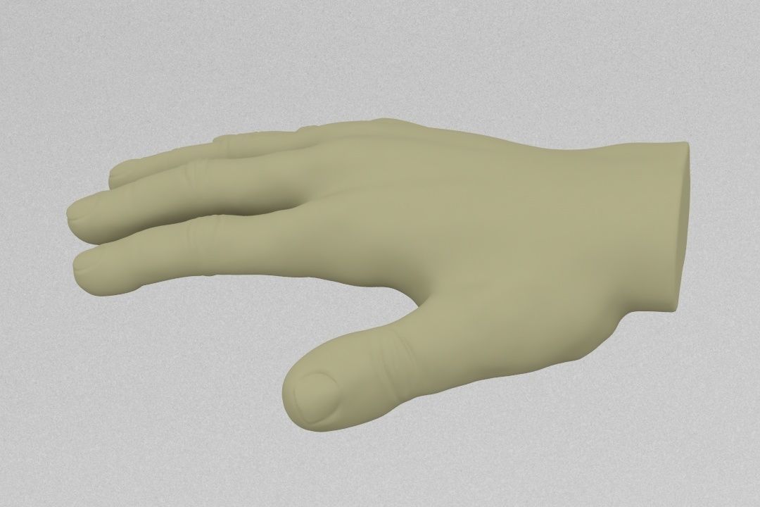 The palm of the hand 3D model 3D printable | CGTrader
