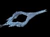 Ice Witch Blade part 3D model | CGTrader