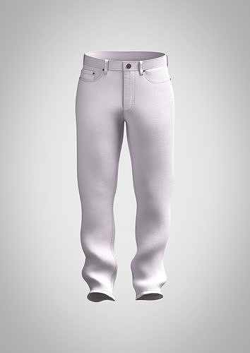 Five Pocket Straight Pant 3D model | CGTrader