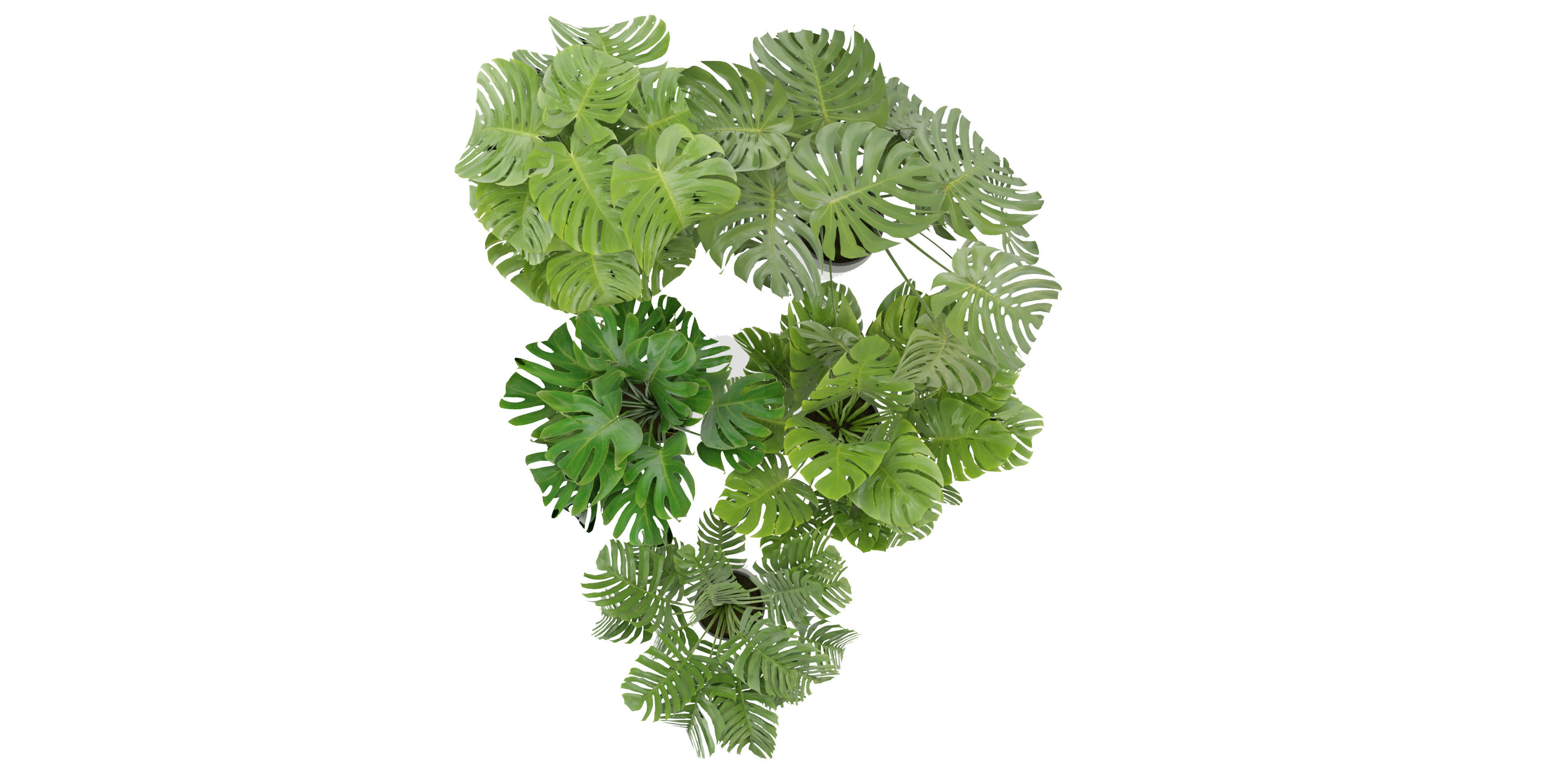 Collection plant vol 334 - blender model 3D model | CGTrader