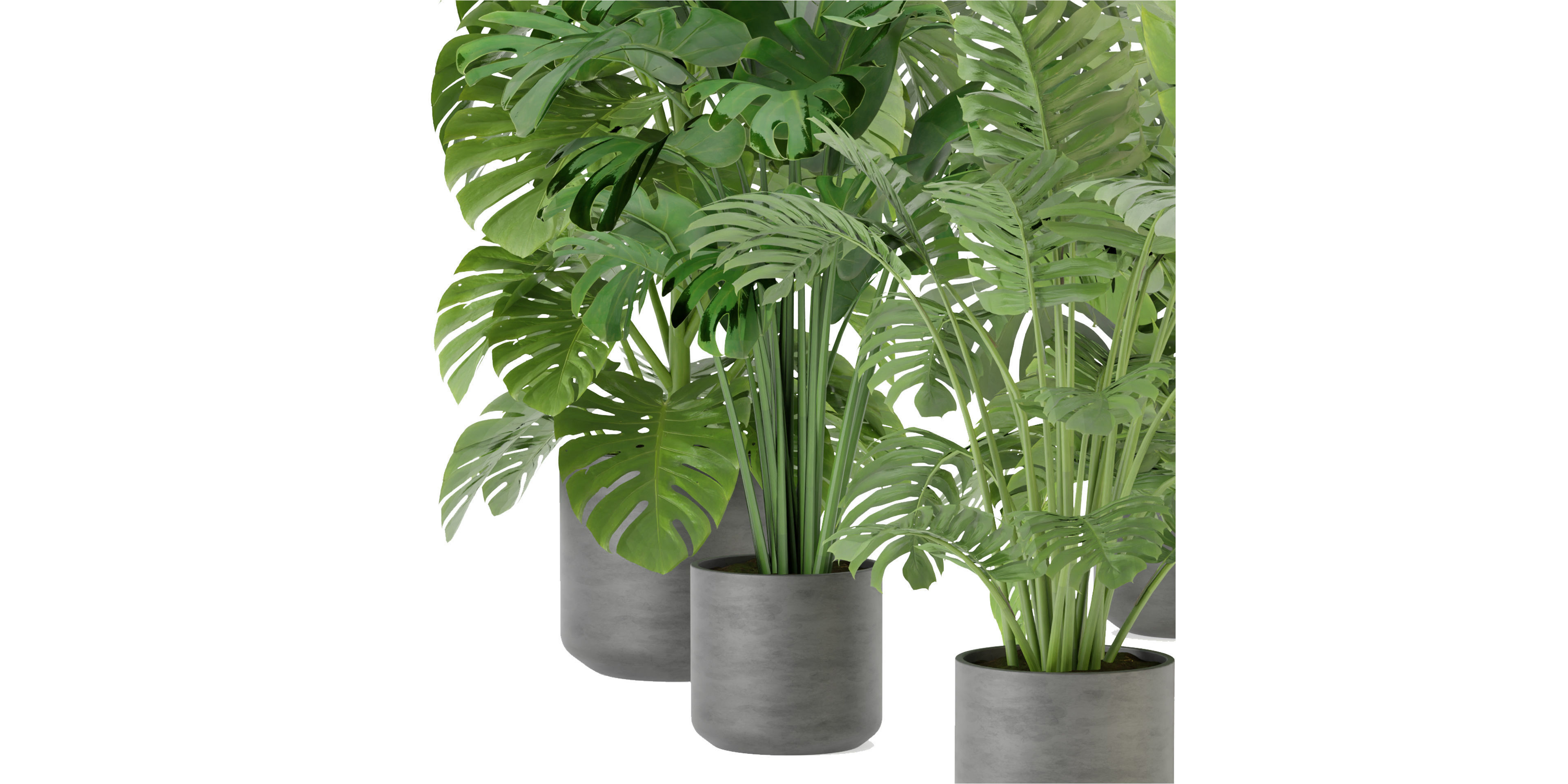 Collection plant vol 334 - blender model 3D model | CGTrader